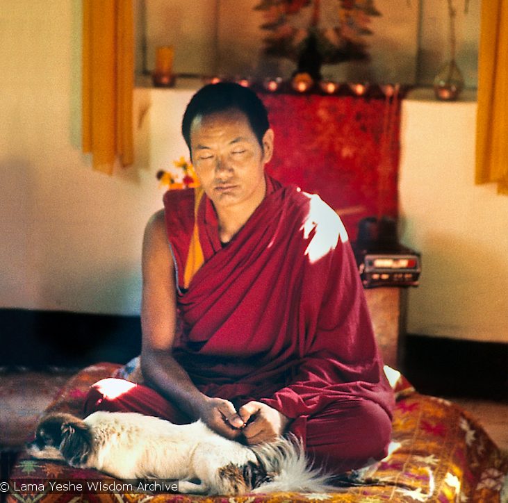 Lama Yeshe with his dog Dolma, 1971 | Lama Yeshe Ling